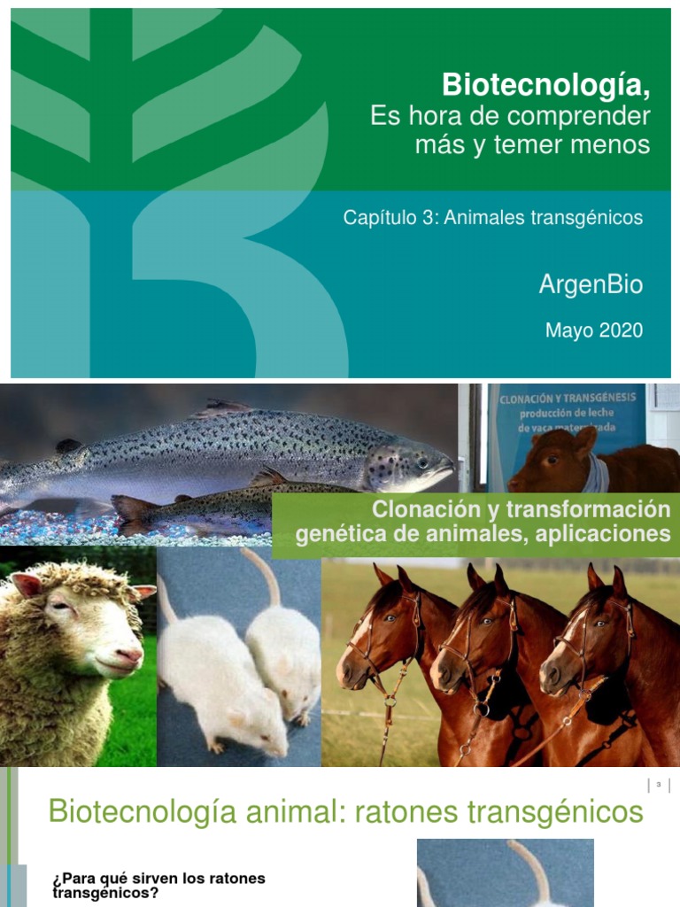 Biotecnologia Capitulo 3 Animales Transgenicos PDF | PDF | Organismo ...