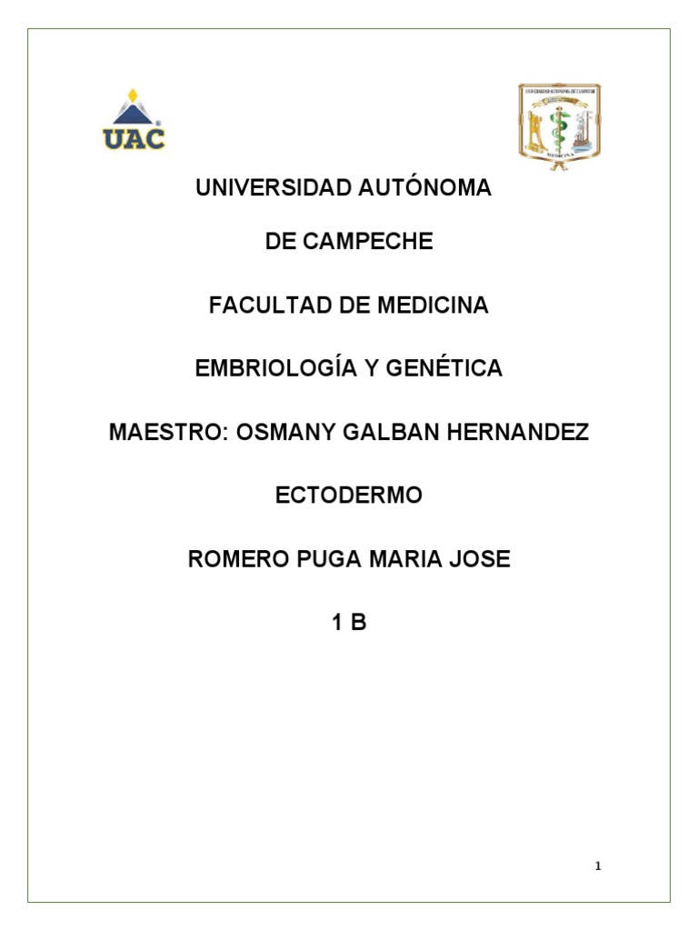 Ectodermo | PDF | Sistema nervioso | Anatomía