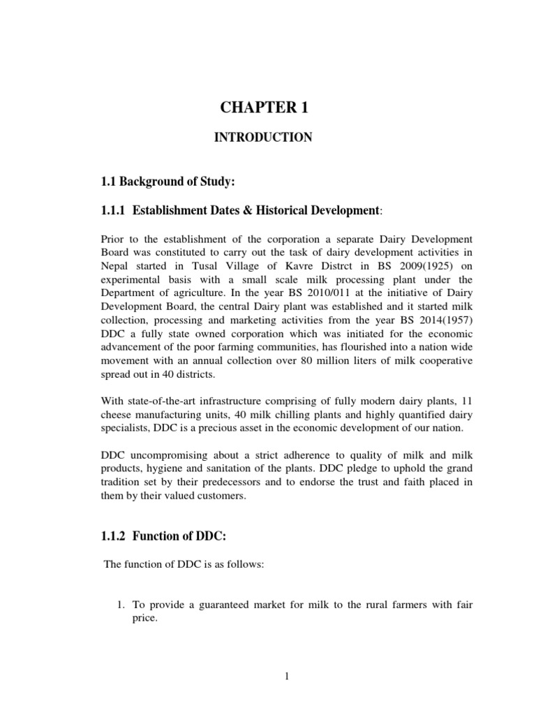 DDC Project Report II | PDF | Final Good | Product (Business)