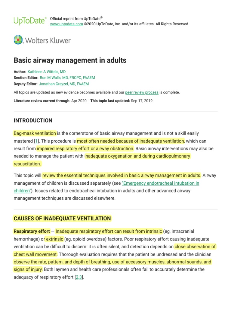 Basic Airway Management | PDF | Medical Treatments | Medical Specialties