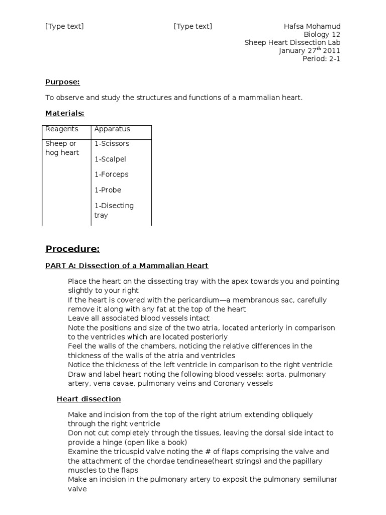 Sheep Heart Dissection Lab | PDF | Heart Valve | Ventricle (Heart)