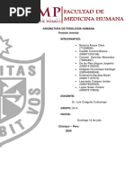 No Dipper y Dipper | PDF | Hipertensión | Medicina CLINICA