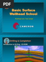 Cameron Wellhead Presentation | PDF | Casing (Borehole) | Valve