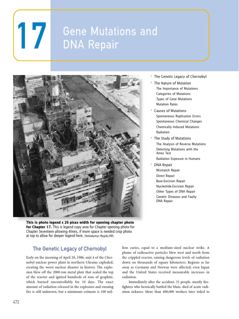 Chernobyl's Genetic Mutations Explained | PDF | Genetic Code | Point Mutation