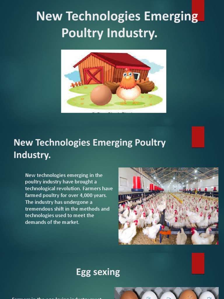 New Technologies Emerging Poultry Industry. | PDF | Chicken | Virtual ...
