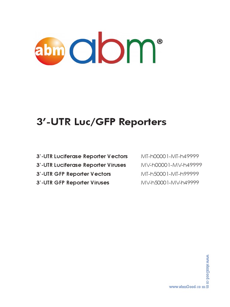 3 UTR Reporters Handbook | PDF | Viral Vector | Gene Expression