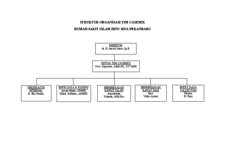 Struktur Organisasi Tim Casemix | PDF