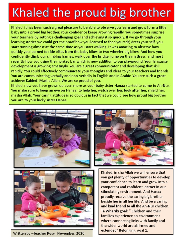 The Proud Big Brother | PDF | Behavior Modification | Communication