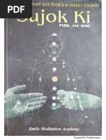 Byol Maridian Chart | PDF | Energy Therapies | Energy (Esotericism)