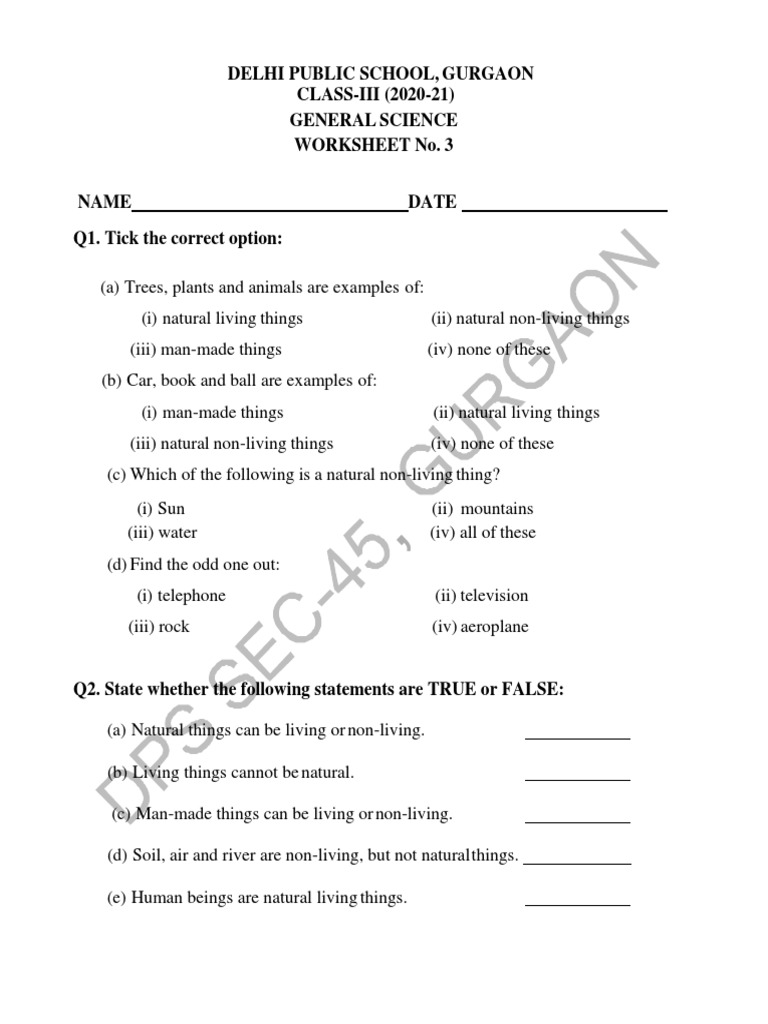 Cl-3 GSC Worksheet-3 PDF | PDF | Science & Mathematics