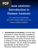 Organization and General Plan of The Body | PDF | Human Body | Abdomen