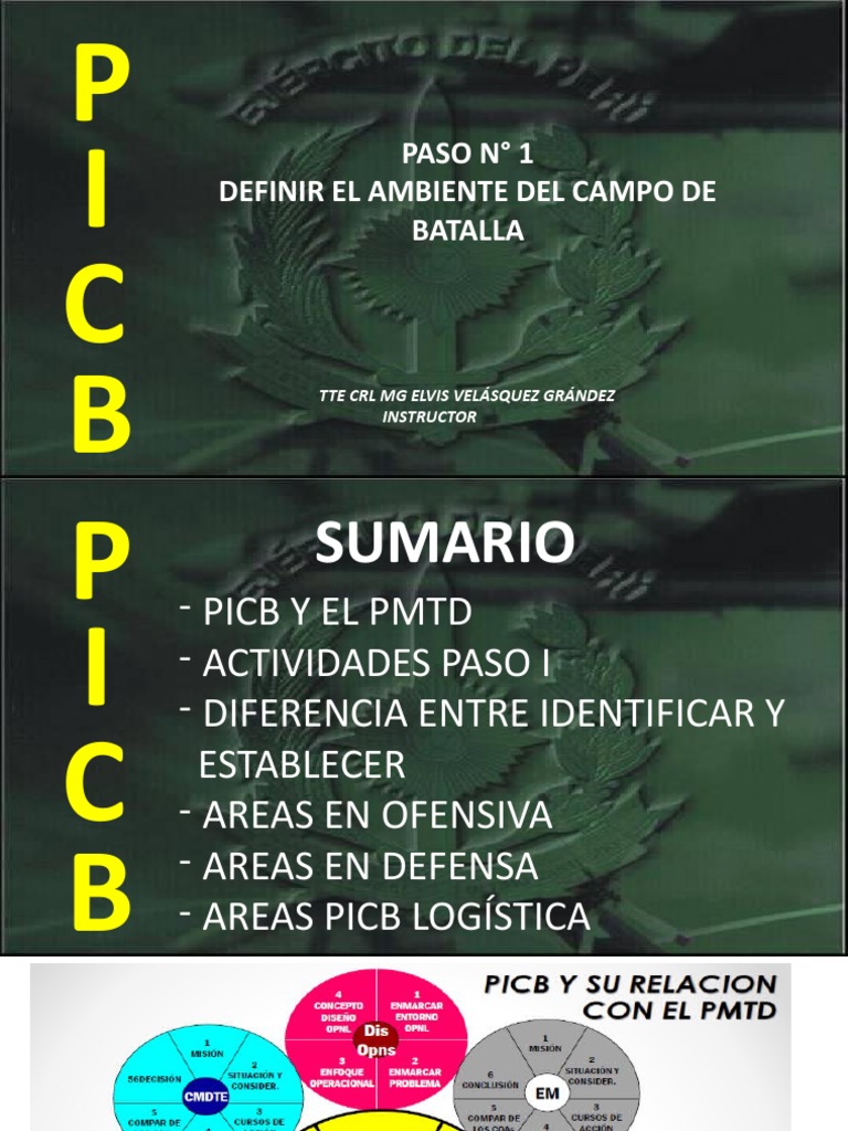 Picb Paso 1 | PDF | Agitación | Violencia