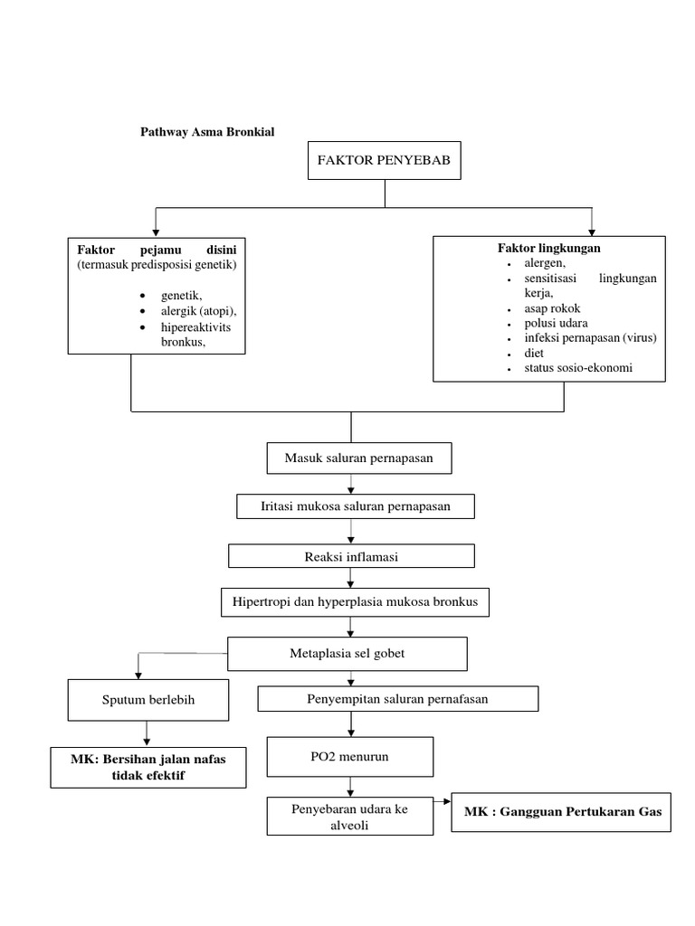 Pathway Asma Bronkial pada Anak | PDF