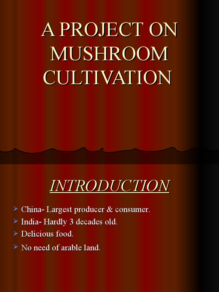 A Project On Mushroom Cultivation | PDF | Mushroom | Agriculture