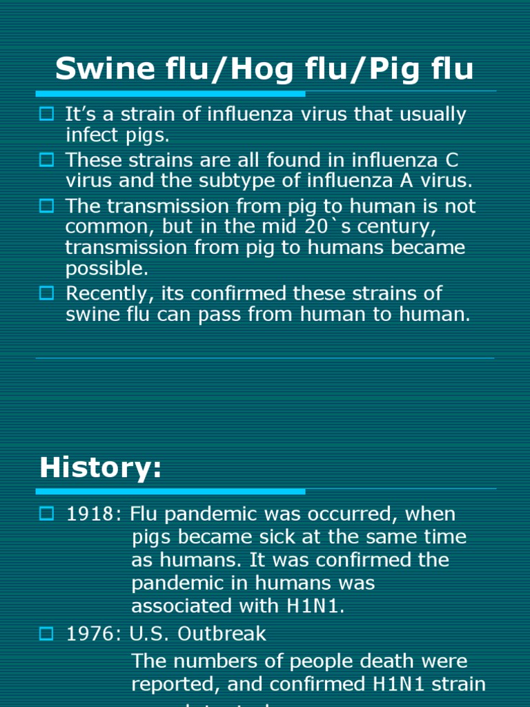 Swine Flu | PDF | Swine Influenza | Influenza