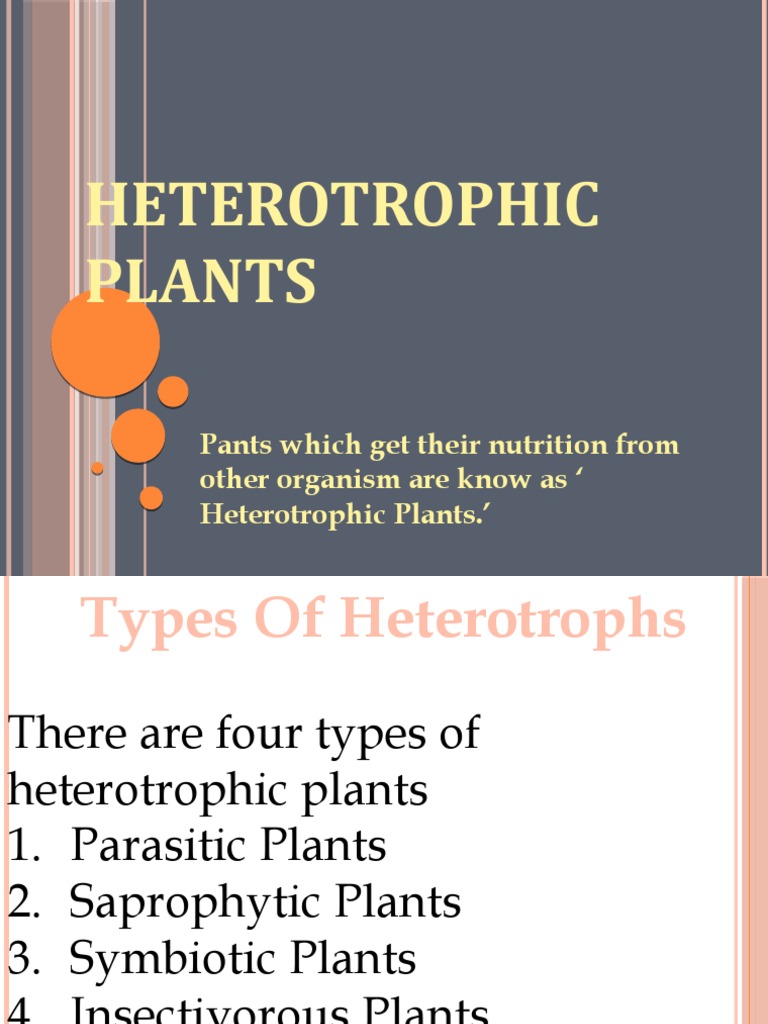 Heterotrophic Plants: Pants Which Get Their Nutrition From Other ...