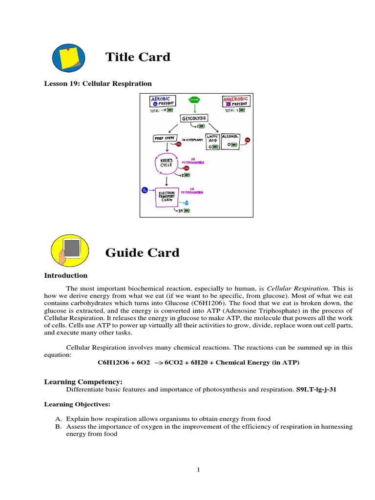 Science - G9 - Week 7 (Lessons 19-20) | PDF | Cellular Respiration ...