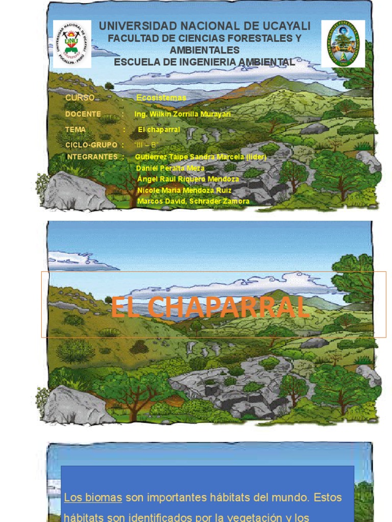 El fascinante bioma del chaparral: características, flora y fauna | PDF ...