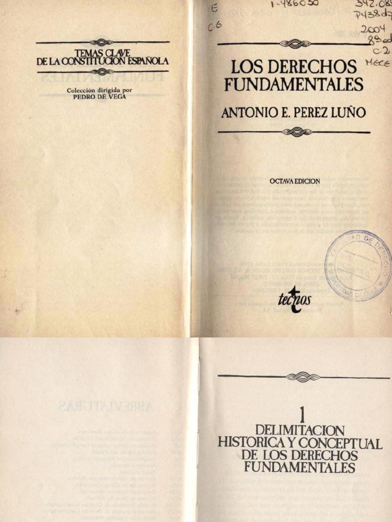 Los Derechos Fundamentales - Antonio Perez Luño PDF | PDF