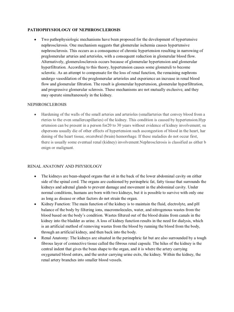 Nephrosclerosis Pathophysiology Insights | PDF | Kidney | Physiology