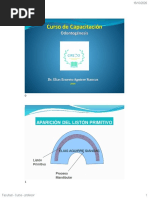 Ortopedia Funcional de Los Maxilares Wilma Simoes PDF 27 PDF | PDF ...
