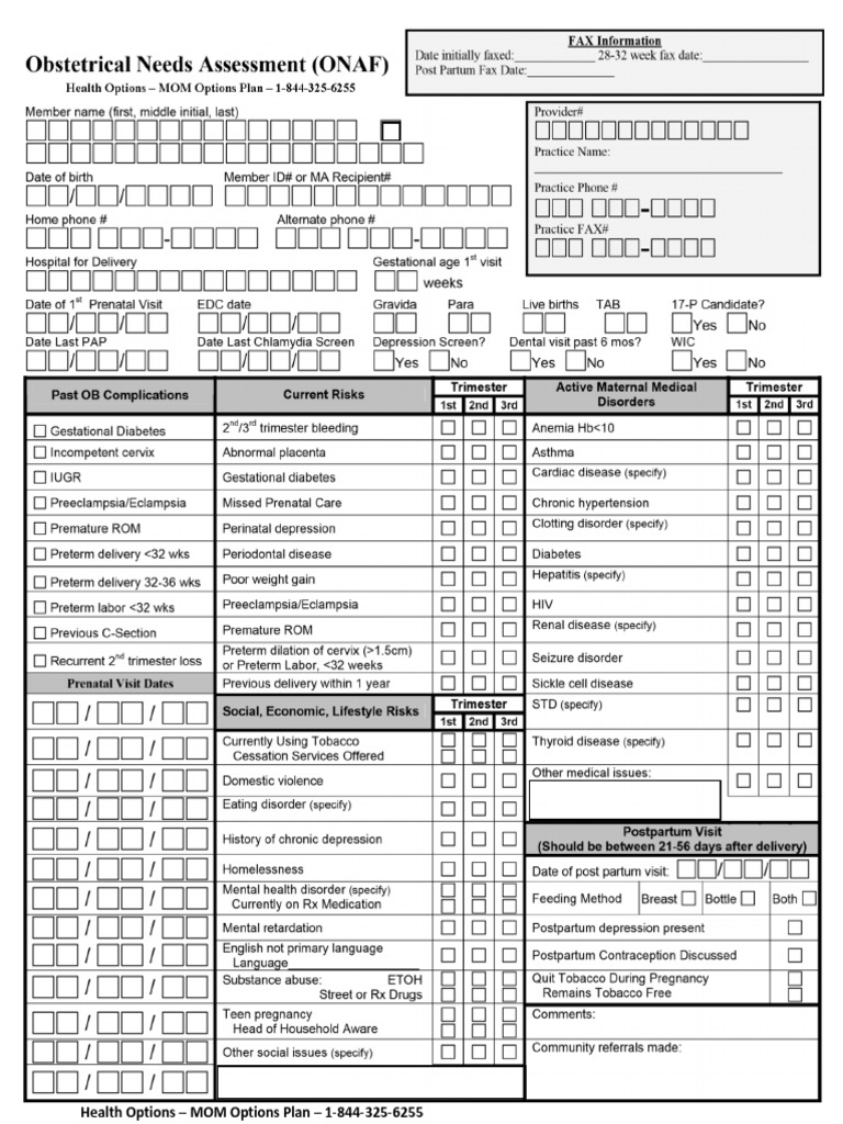 Obstetrical Initial Assessment PDF | PDF