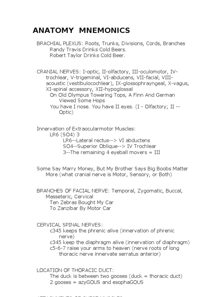Anatomical Mnemonics for the Memory: A Comprehensive Collection of ...