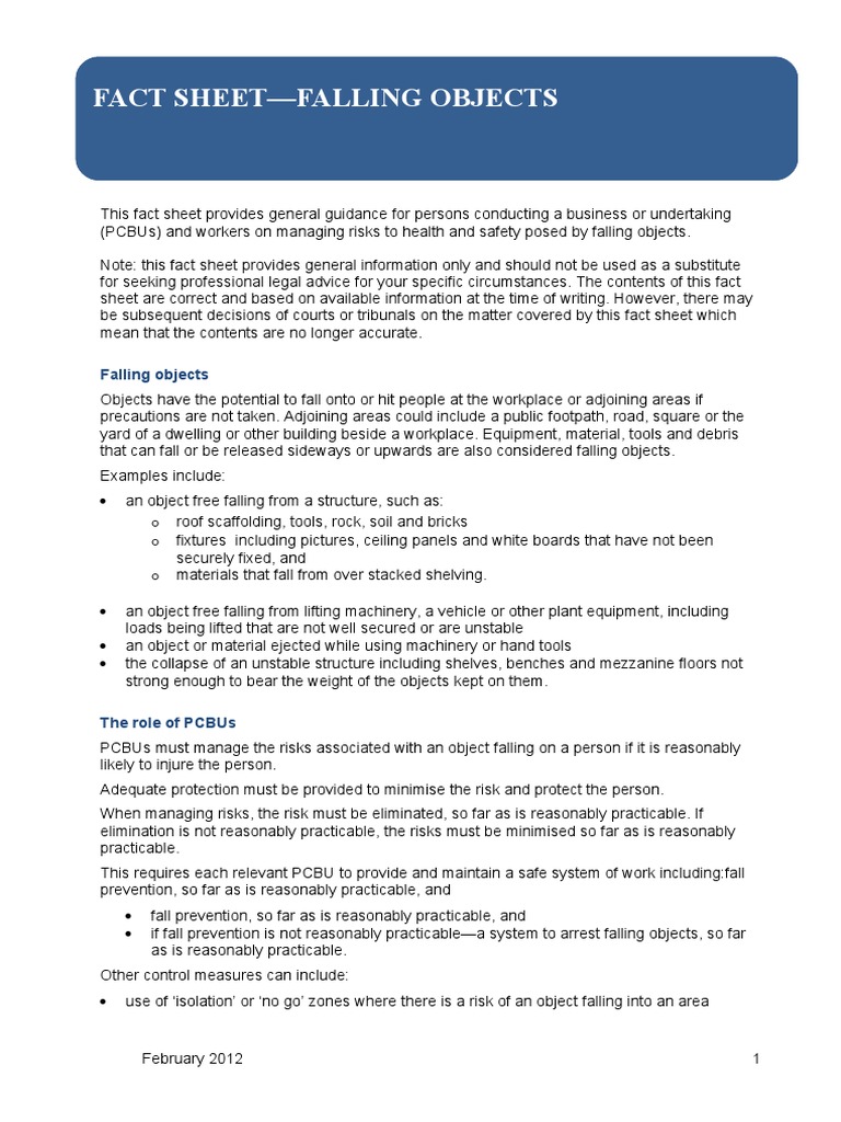 Falling Objects Fact Sheet | PDF | Occupational Safety And Health | Risk