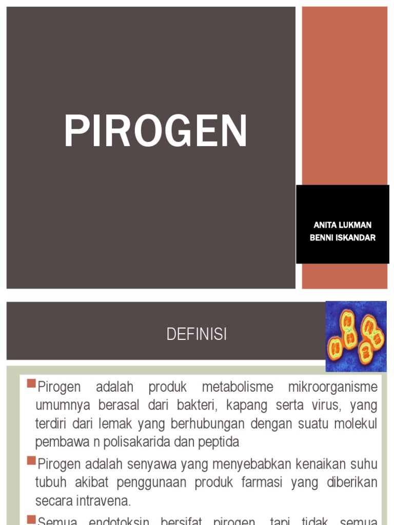 Pirogen: Anita Lukman Benni Iskandar | PDF