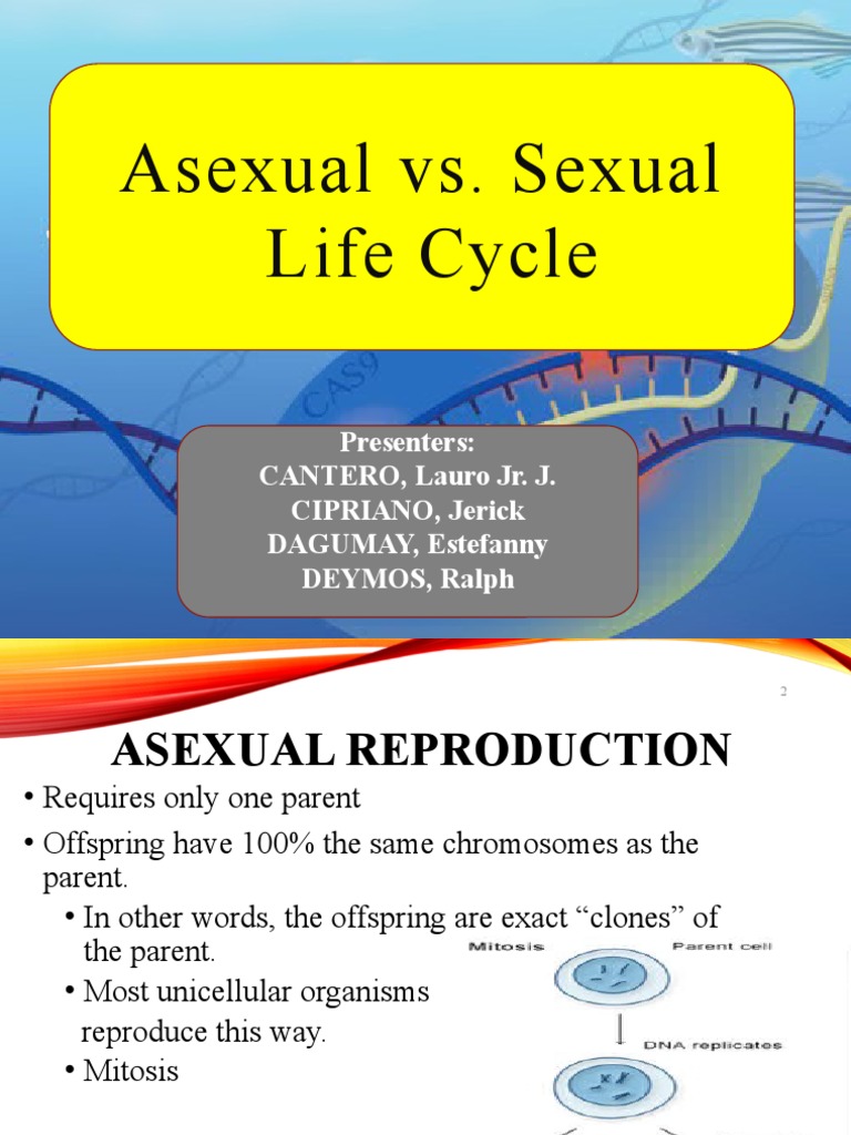 Asexual Vs Sexual Reproduction PowerPoint | Download Free PDF | Sexual ...