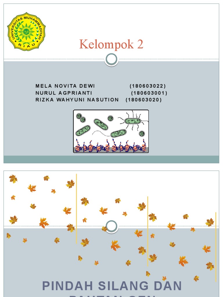 Pindah Silang Dan Pautan Gen | PDF