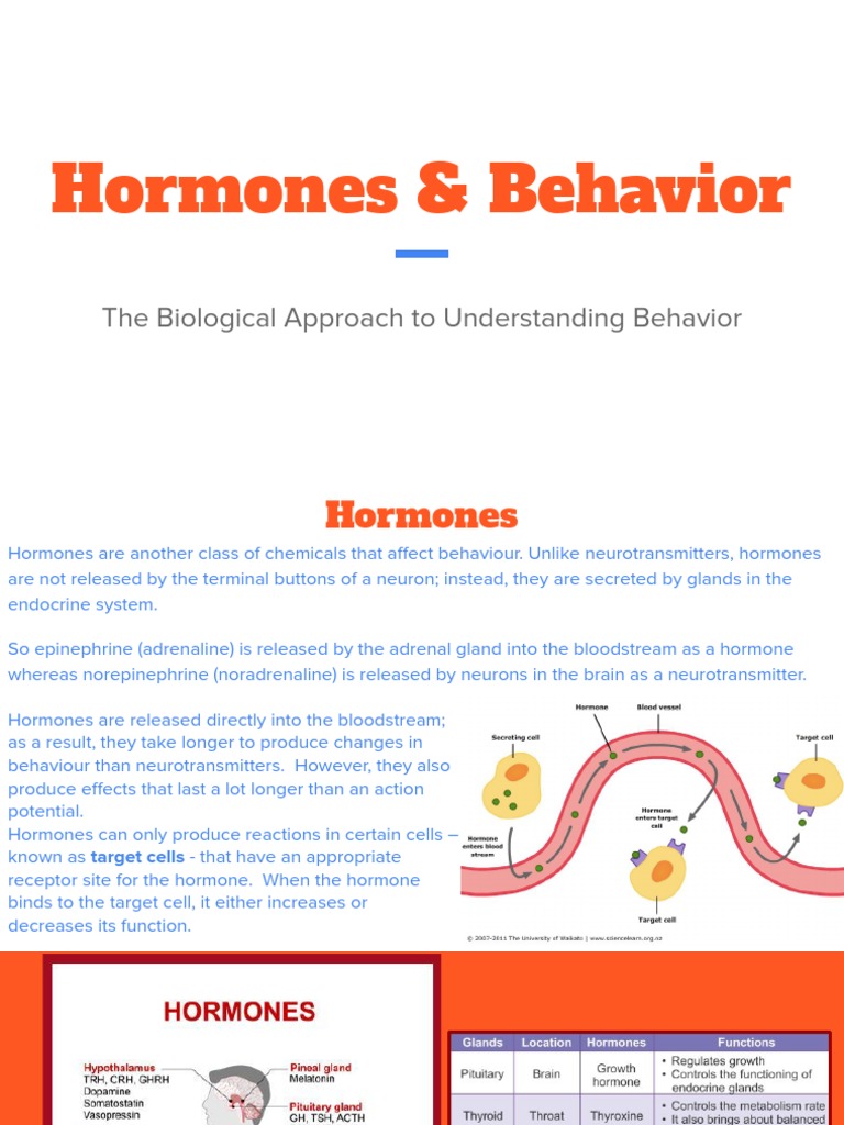 Hormones and Behavior | PDF | Aggression | Fight Or Flight Response