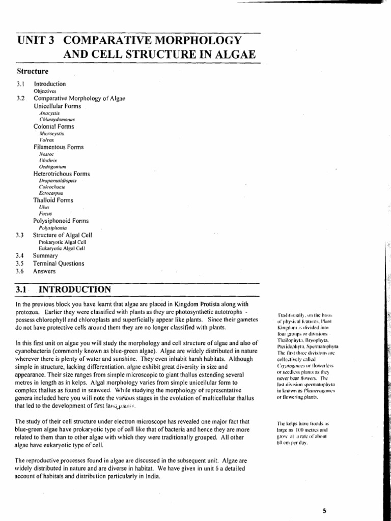 Unit Comparative Morphology and Cell Structure in Algae | PDF | Chloroplast | Algae