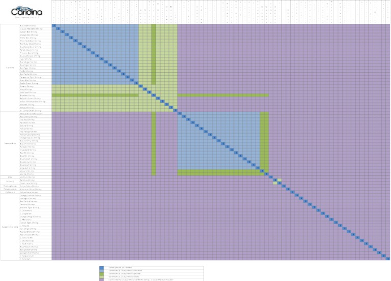 Nanocaridina Shrimp Breeding Chart PDF | PDF