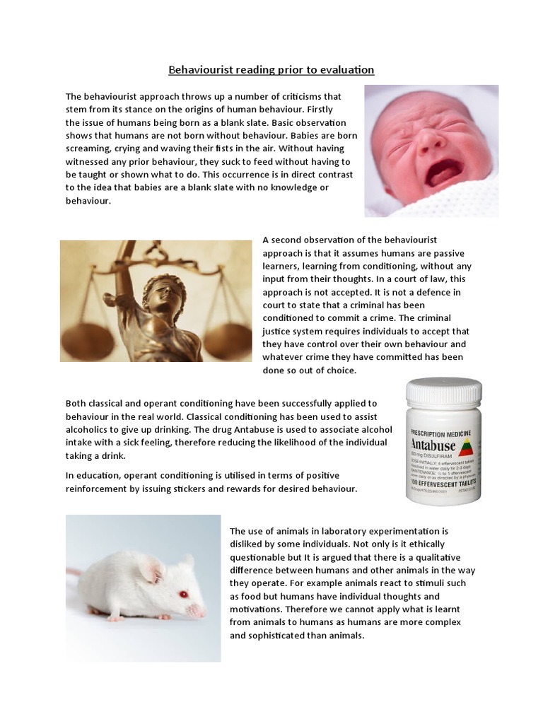 Behaviourist Reading Prior To Evaluation | Download Free PDF ...