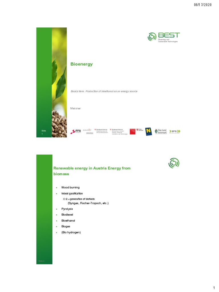 Bioenergy: Renewable Energy in Austria Energy From Biomass | PDF ...