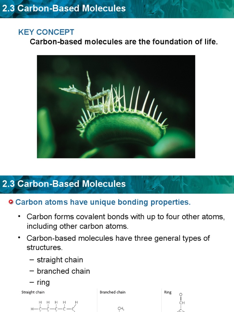 Carbon-Based Molecules Are The Foundation of Life.: Key Concept | PDF ...