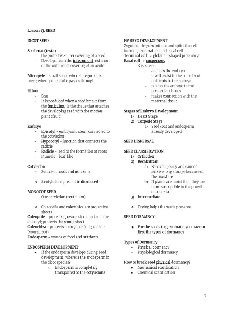 DICOT SEED EMBRYO DEVELOPMENT | PDF | Seed | Germination