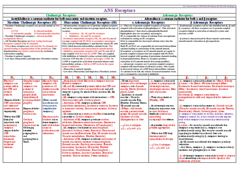 ANS Receptors CHART | PDF | Acetylcholine | Neurophysiology