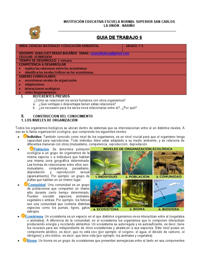 6 Guía - 7-3 - Ecosistemas | PDF | Ecosistema | Ecología