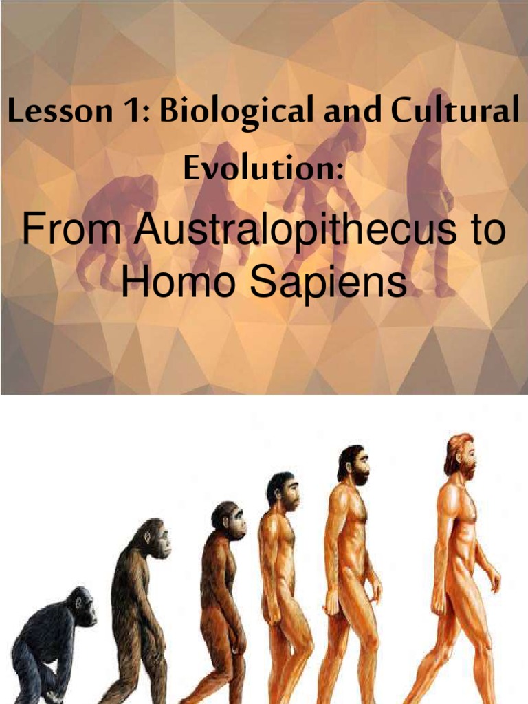 Lesson 1: Biological and Cultural Evolution:: From Australopithecus To Homo Sapiens | PDF ...