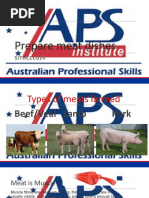 Handbook of Australian Beef Processing: The Aus-Meat Language | PDF ...