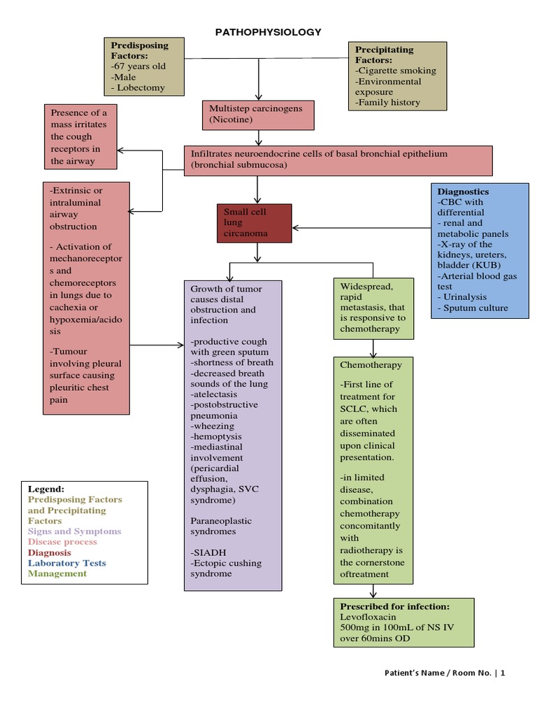 Pathophysiology Precipitating Factors: Predisposing Factors | PDF ...