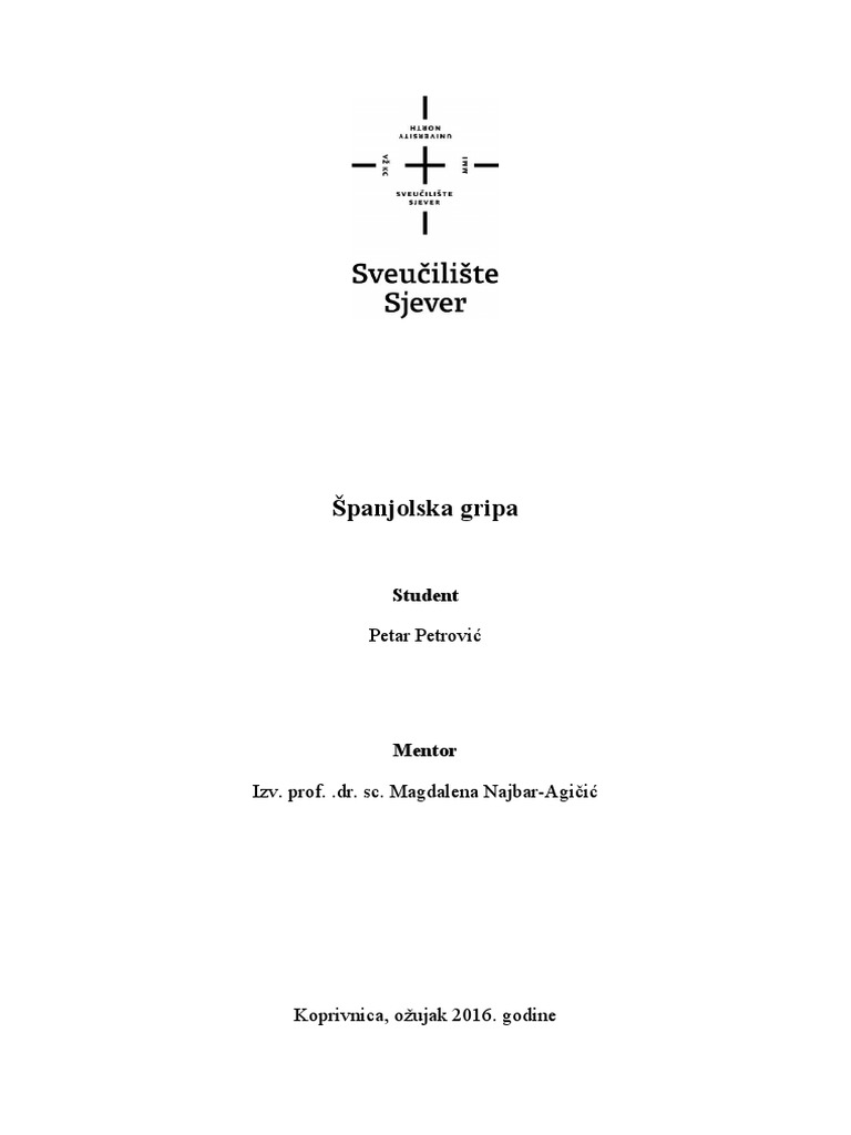 Primjer Seminara - Španjolska Gripa | PDF
