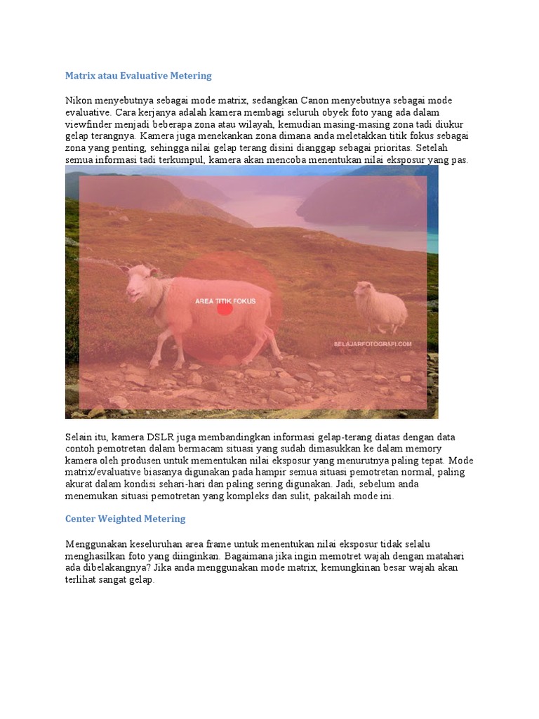 Matrix Atau Evaluative Metering Pdf