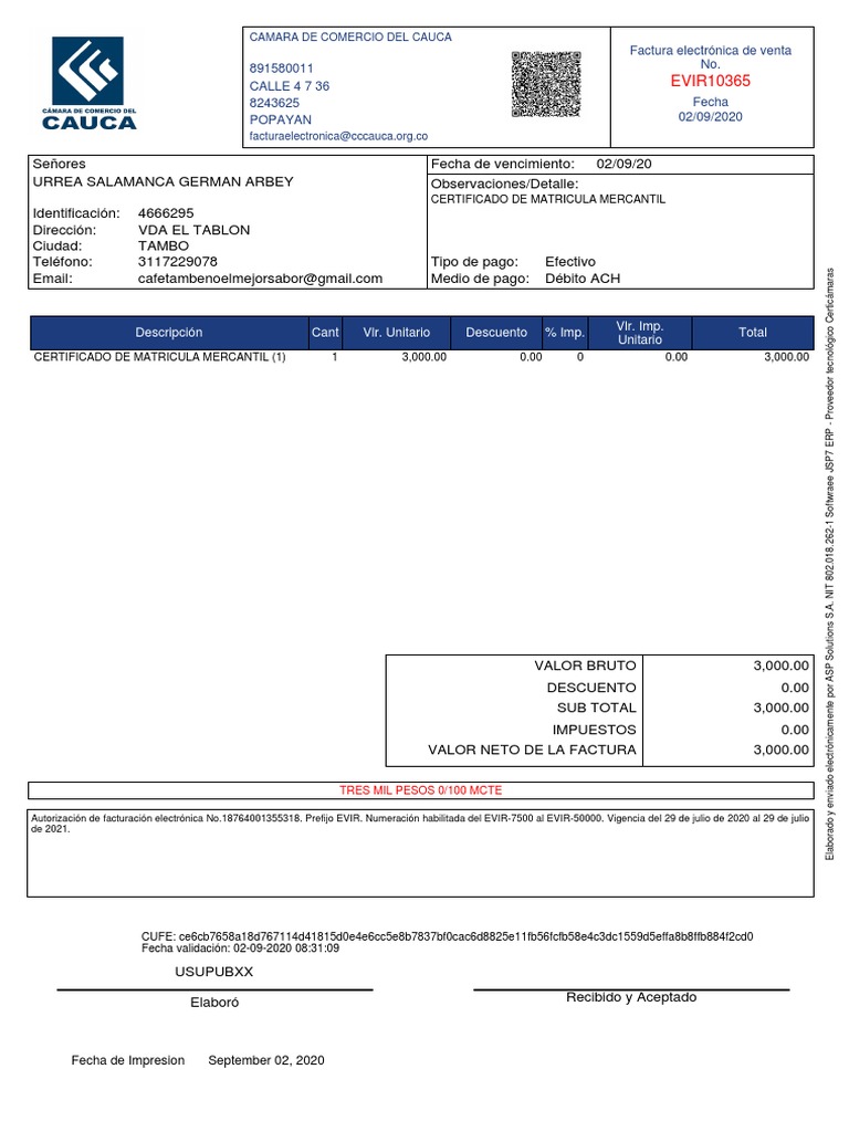 Factura Electronica Papi | PDF | Pagos | Tecnología financiera