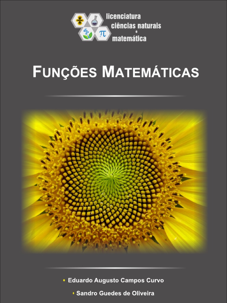 Funções Matemáticas | PDF | Função (Matemática) | Séries de Fourier