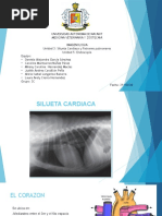 Anatomía de las Falanges en Veterinaria | PDF | Sistema esquelético ...