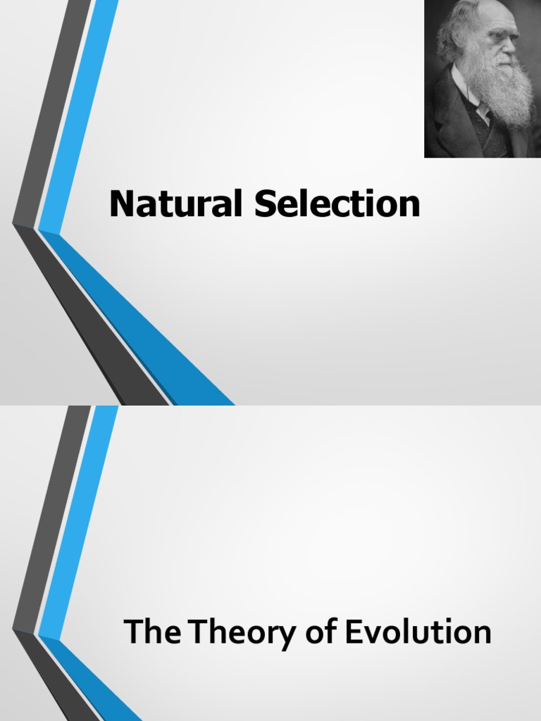 Theory of Evolution and Natural Selection - 2020 | PDF | Genetic ...
