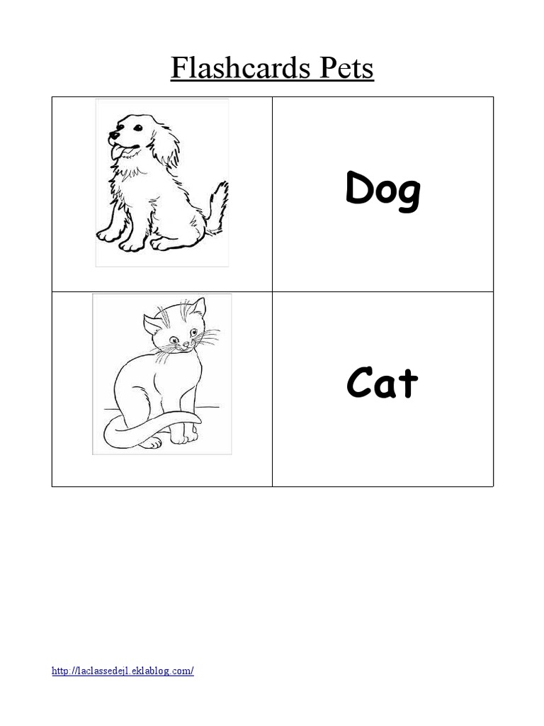 Flashcards Pets | PDF
